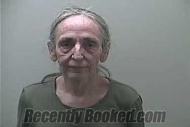Recent Booking / Mugshot for BARBARA LOUISE LAMBERT in Midland County ...