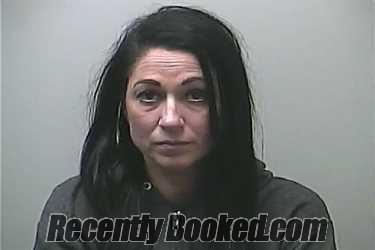 Recent Booking / Mugshot for MICHELLE LYNN BLAIN in Midland County ...
