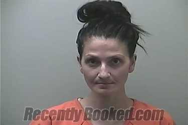 Recent Booking / Mugshot for DANIELLE NICOLE JACQUES in Midland County ...