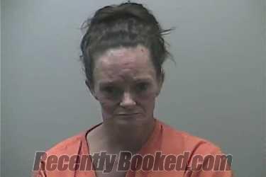 Recent Booking / Mugshot for JAMIE LYNN PRITCHARD in Midland County ...