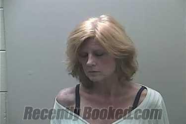 Recent Booking / Mugshot for KATHERINE MARY AWRYLO in Midland County ...