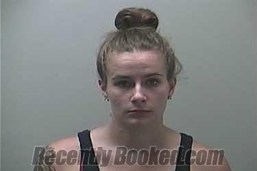 Recent Booking / Mugshot for JENNIFER ROSE NOVAK in Midland County ...
