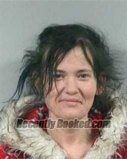 Recent Booking / Mugshot for SHEREE DANIELLE FURR in Randolph County ...