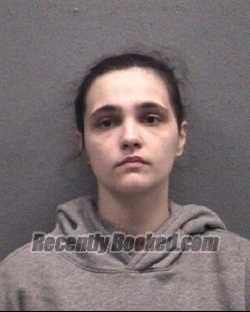 Recent Booking / Mugshot for HEATHER ANN DUTCHER in Muskegon County ...