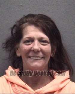 Recent Booking / Mugshot for KELLIE MECHELLE RAAP in Muskegon County ...