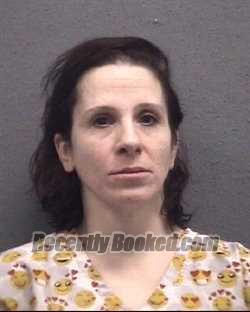 Recent Booking / Mugshot for SARA MARIE BARONE in Muskegon County, Michigan