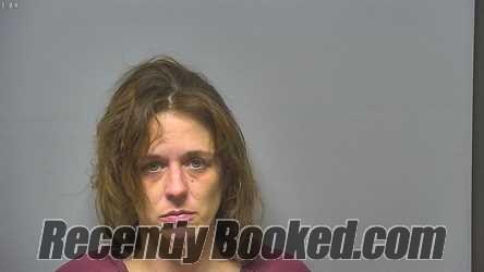 Recent Booking / Mugshot for ANGELA LYNN WITHERS in Saginaw County ...