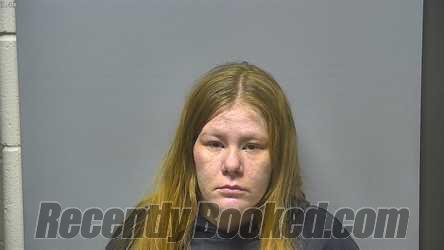 Recent Booking / Mugshot for AMBER LOUISE MILLER in Saginaw County ...