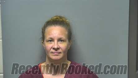 DARCY LYNN SWANSON Arrest Record & Booking Info – Saginaw County ...