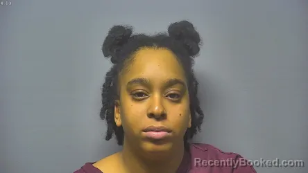 DESTINY KHADIJA BAUSWELL Arrest Record & Booking Info – Saginaw County ...
