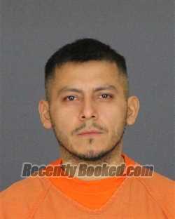 Recent Booking / Mugshot for RENE NONE SARABIA-CASTRO in St Clair ...