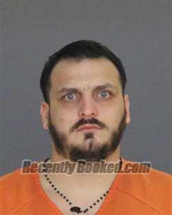 Recent Booking / Mugshot for DANUT-VALENTIN URSEIU in St Clair County ...