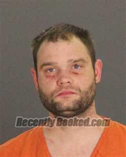 Recent Booking / Mugshot for DRAKE WILLIAM BOYER in St Clair County ...