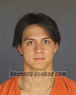 Recent Booking / Mugshot for VINCENT ANTHONY DECHAVEZ in St Clair ...