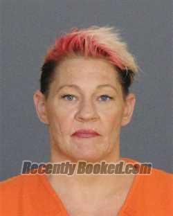 Recent Booking / Mugshot for AMY MICHELLE MINOR in St Clair County ...