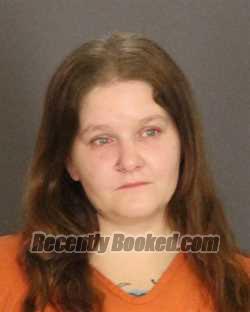 Recent Booking / Mugshot for ASHLEY LYNN HOLT in St Clair County, Michigan