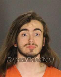 Recent Booking / Mugshot for CHRISTOPHER KALEB HARMON in St Clair ...