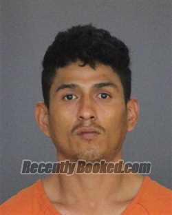 Recent Booking / Mugshot for NOLBERT LOPEZ-MONTESINOS in St Clair ...