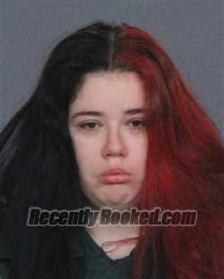 Recent Booking / Mugshot for BRITTANY LYNN NICOLE LAVALLEY in St Clair ...