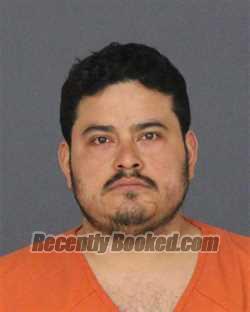 Recent Booking / Mugshot for EDUARDO BRIGIDO ROLDAN in St Clair County ...