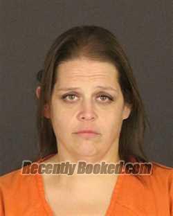 Recent Booking / Mugshot for JAMI LYNN HAWKINS in St Clair County, Michigan