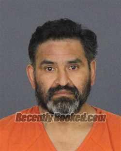 Recent Booking / Mugshot for JOSE NONE ANTIONO-GONZALEZ in St Clair ...