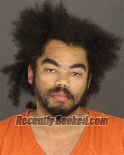 Recent Booking / Mugshot for DOCK RYAN-CONAN WALKER in St Clair County ...
