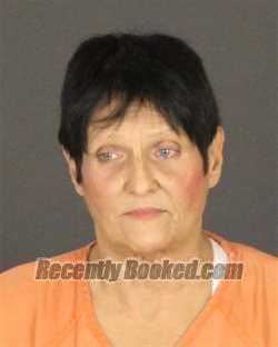 Recent Booking / Mugshot for RITA JANE GINNETTI in St Clair County ...
