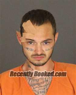Recent Booking / Mugshot for MATTHEW DAVID ANTHONY GREER in St Clair ...