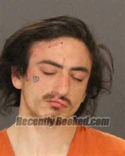 Recent Booking / Mugshot for BRENDON JAMES LUPO in St Clair County ...