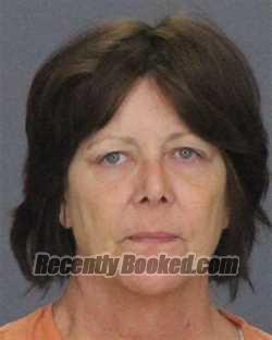 Recent Booking / Mugshot for MARY JOANN GREER in St Clair County, Michigan
