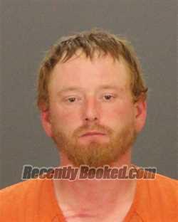 Recent Booking / Mugshot for DUSTIN EDWARD-BRIAN DAVIS in St Clair ...