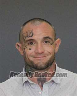 Recent Booking / Mugshot for DANIEL JAMES LIDDY in St Clair County ...