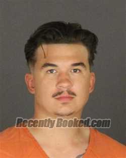 Recent Booking / Mugshot for DANIEL ADAM LATOSZ in St Clair County ...