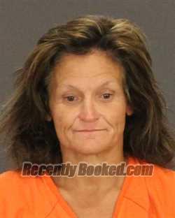 Recent Booking / Mugshot for TONYA MARIE FLENNA in St Clair County ...