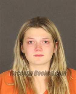 Recent Booking / Mugshot for PAIGE ELIZABETH STEPHAN in St Clair County ...