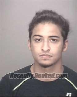 Recent Booking / Mugshot for CHARLES RAY LOCKLEAR in Robeson County ...