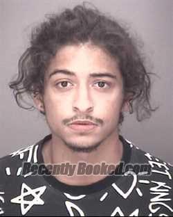 Recent Booking / Mugshot for RAY CHARLES LOCKLEAR in Robeson County ...