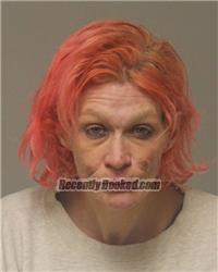 Recent Booking / Mugshot for STACY JANE REESE in Anoka County, Minnesota