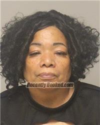 Recent Booking / Mugshot for ANNA MARIA SULLIVAN-CROCKETT in Anoka ...