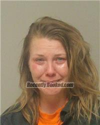 Recent Booking / Mugshot for CASSANDRA JASMIN STEIN in Anoka County ...