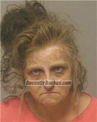 Recent Booking / Mugshot for DEANNA RENEE FINCH in Anoka County, Minnesota