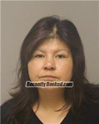 Recent Booking / Mugshot for ERIN LYNN DOW in Anoka County, Minnesota