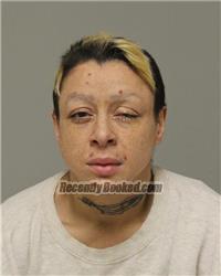 Recent Booking / Mugshot for ALEXIS MARIE RUCCI HOBBS in Anoka County ...