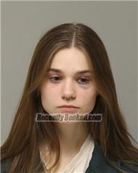 Recent Booking / Mugshot for MARA KATHLEEN LUNDGREN in Anoka County ...