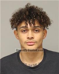 DASHAWN DAN HARRIS Arrest Record & Booking Info – Anoka County ...