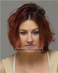 Recent Booking / Mugshot for JAMI LEA FERNHOLZ in Anoka County, Minnesota