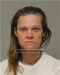 Recent Booking / Mugshot for CASSIE JOLENE NELSON in Anoka County ...