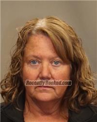 Recent Booking / Mugshot for DIANA JEAN DOCKTER in Anoka County, Minnesota