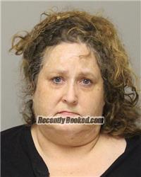 Recent Booking / Mugshot for CHRISTINE MARIE RICE in Anoka County ...